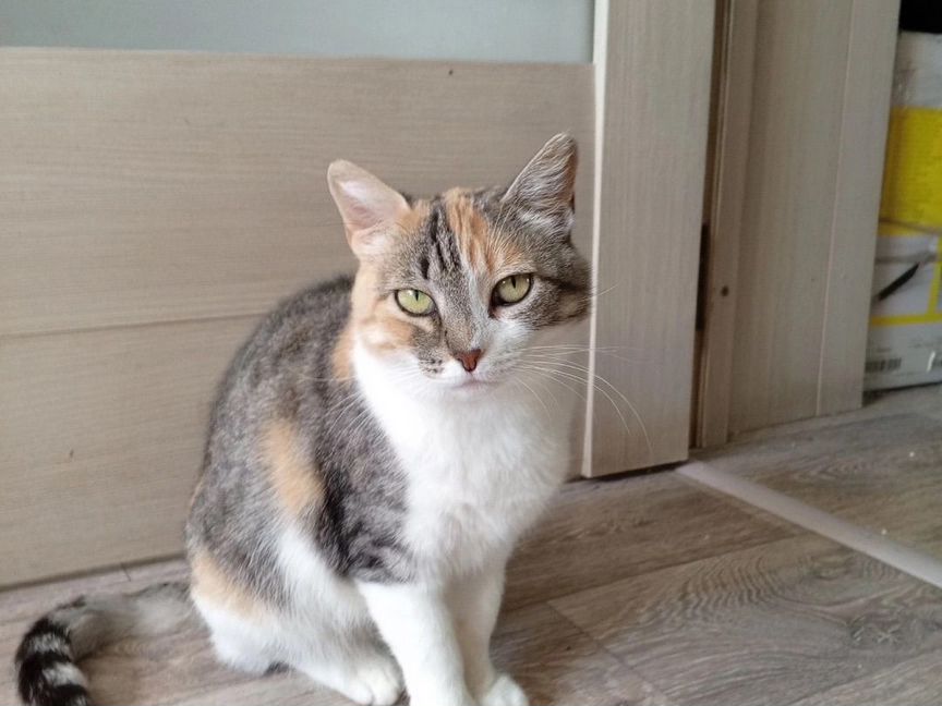 Она не знает что такое дом