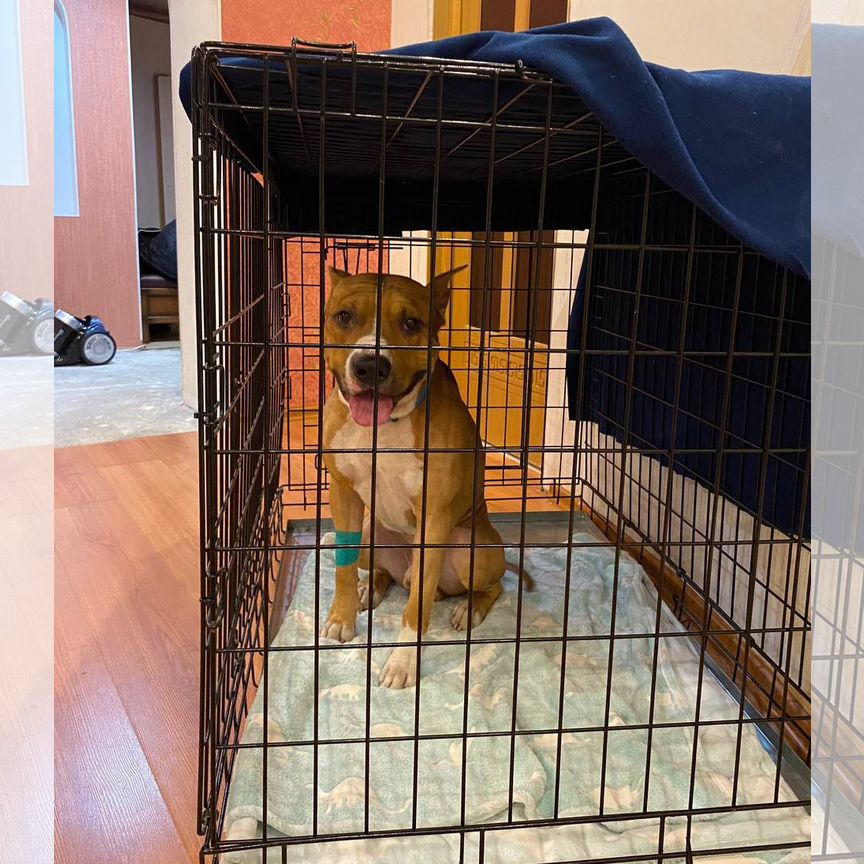 Клетка для животных 120х80х90