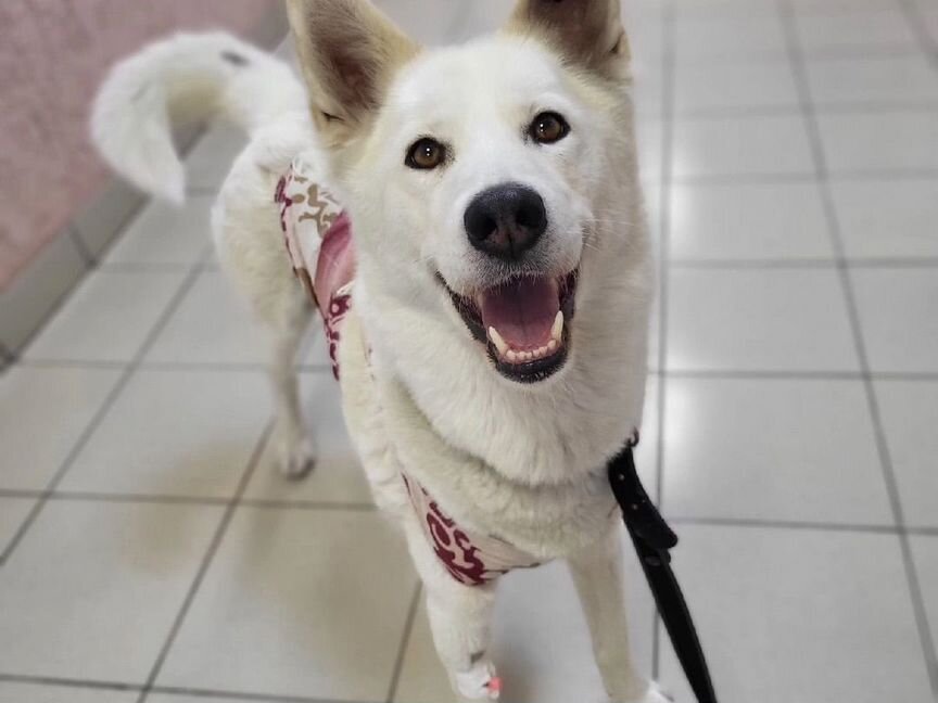 Альма ищет свою семью