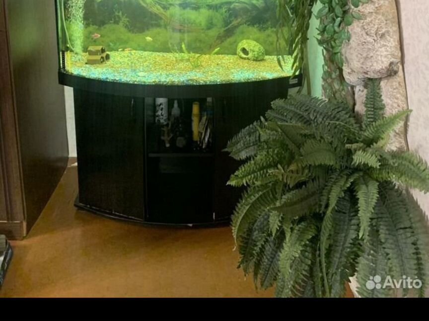 Аквариум для рыб 270 литров