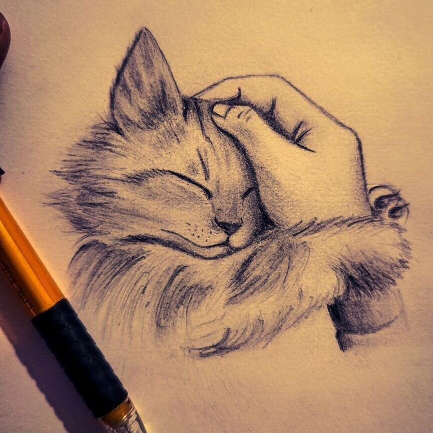 Рисую ваших питомцев