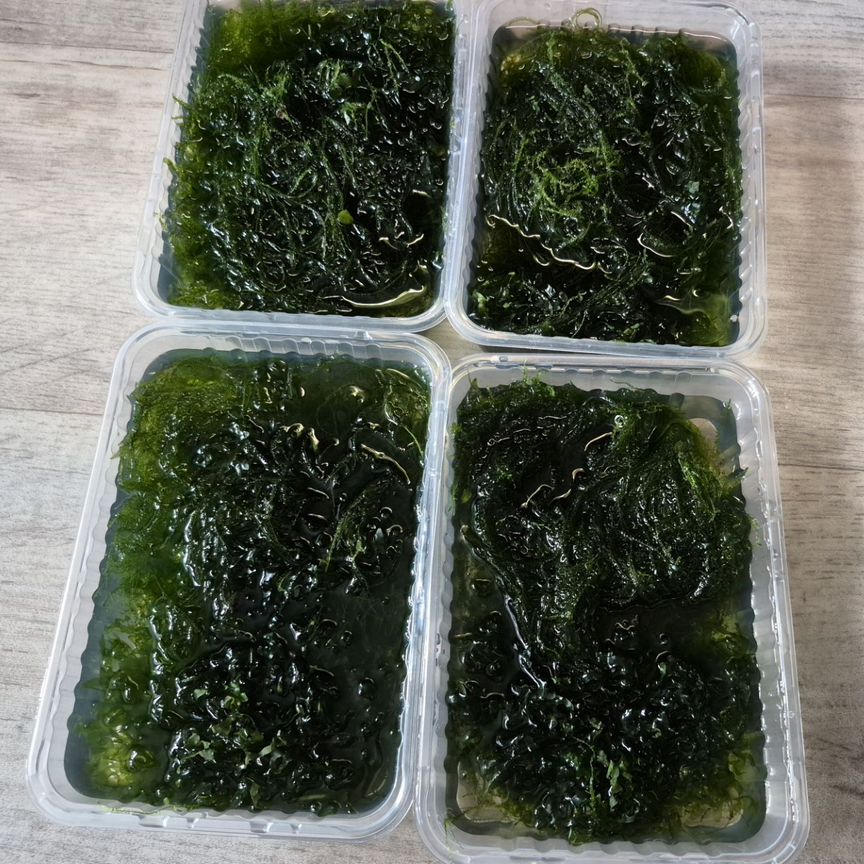 Аквариумные растения прополка