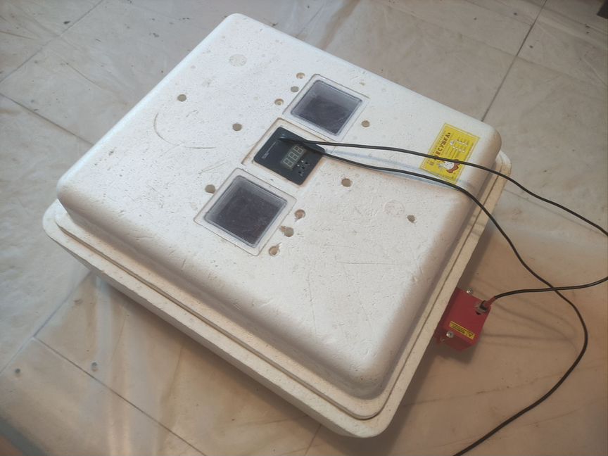 Инкубатор несушка на 63 яйца