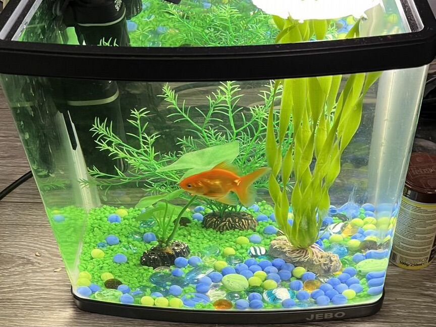 Готовый аквариум с золотой рыбкой 20л