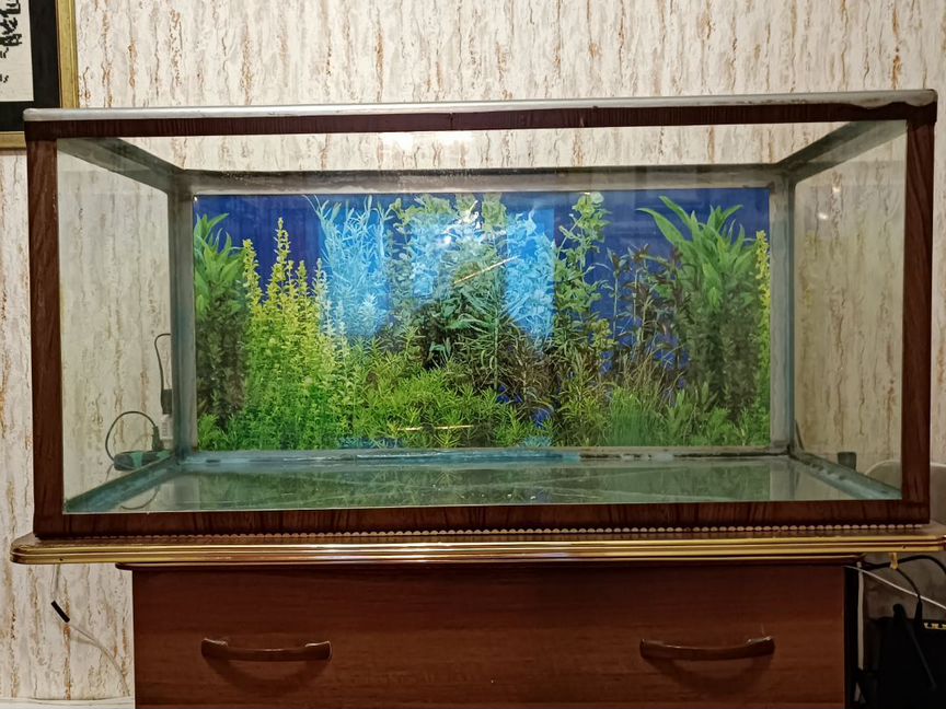 Продаю аквариум