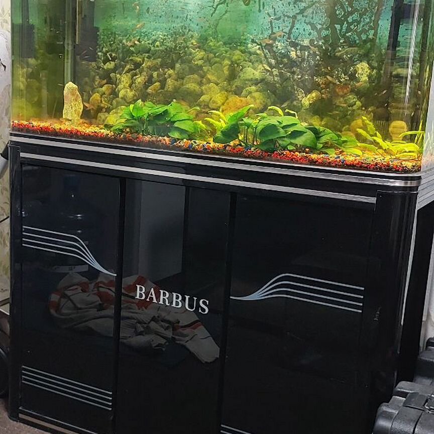 Аквариум с тумбой 200л бу