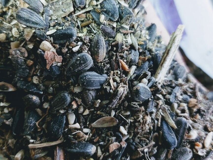 Отходы семечки