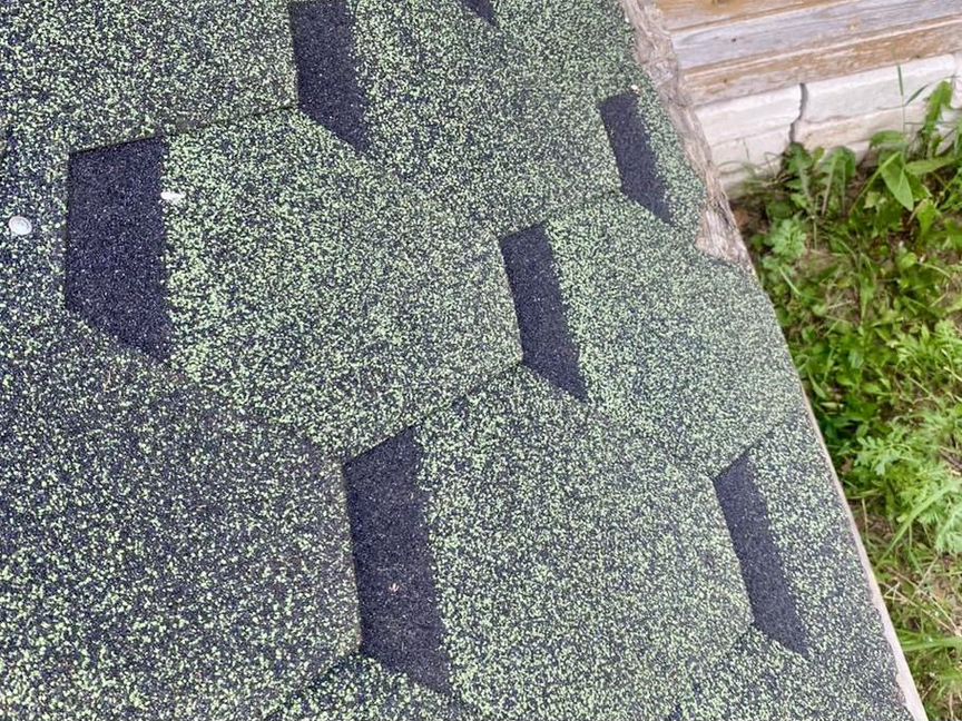 Собачья будка