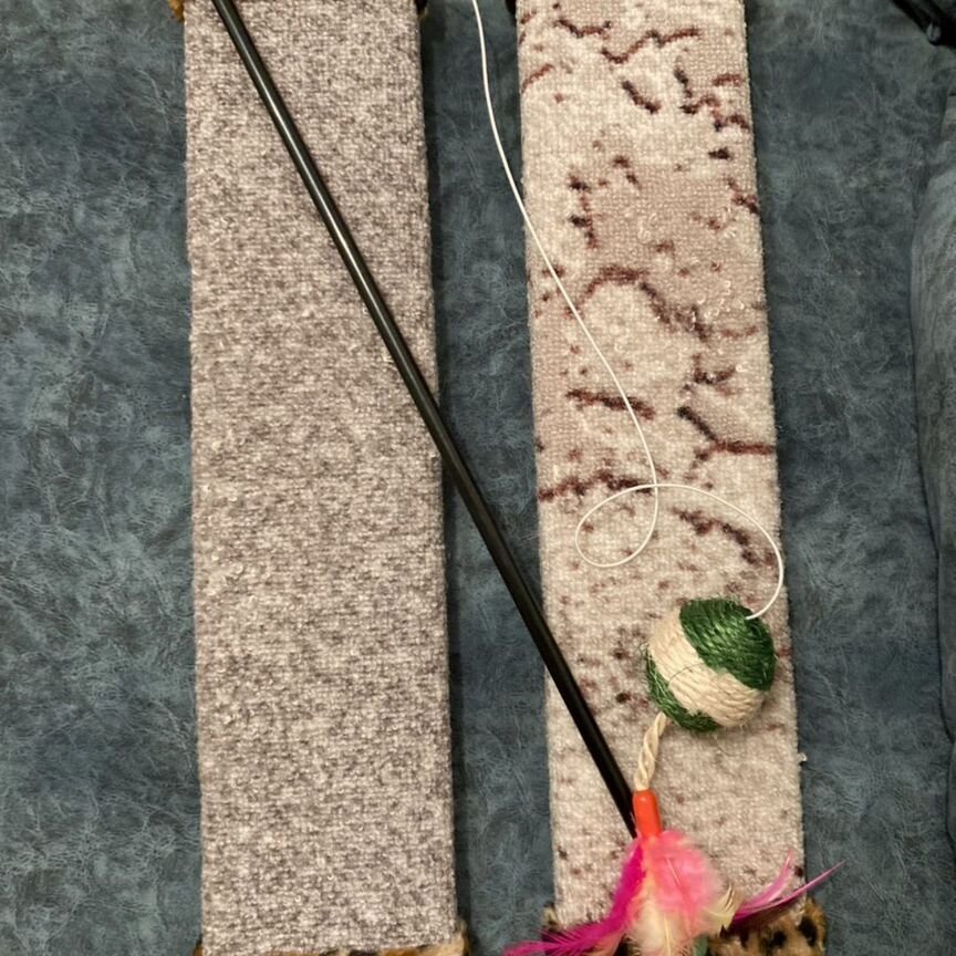 Товары для животных