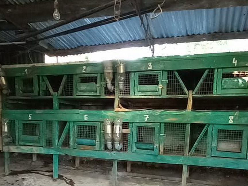 Клетки для кролей