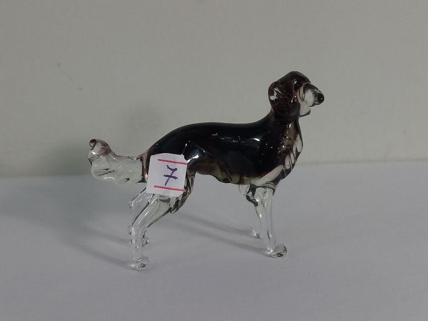 Салюки персидская борзая