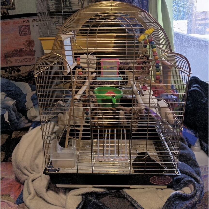 Продается клетка для попугаев