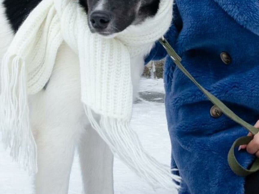 Малыш, 9 месяцев