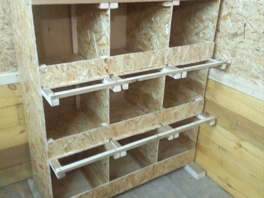 Гнезда для кур