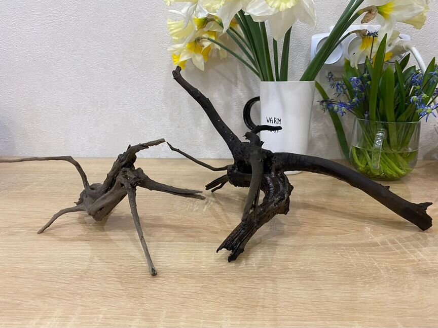 Коряга, рыбки для аквариума