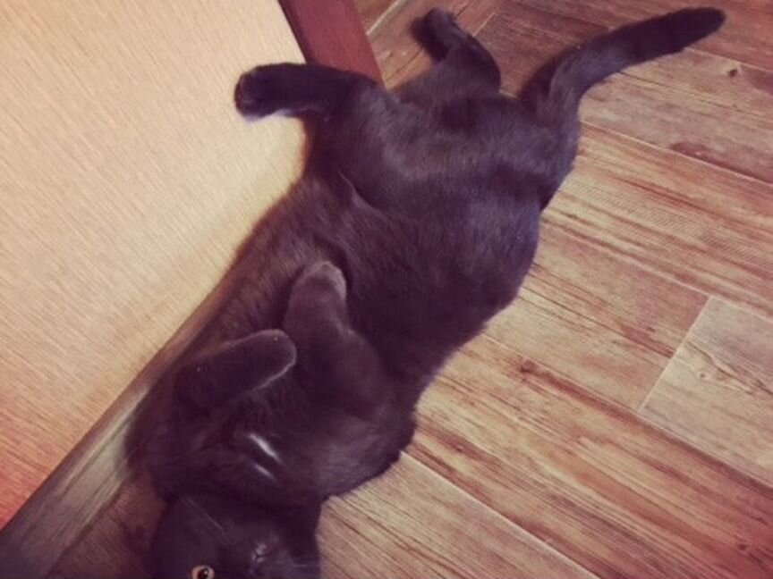 Вязка