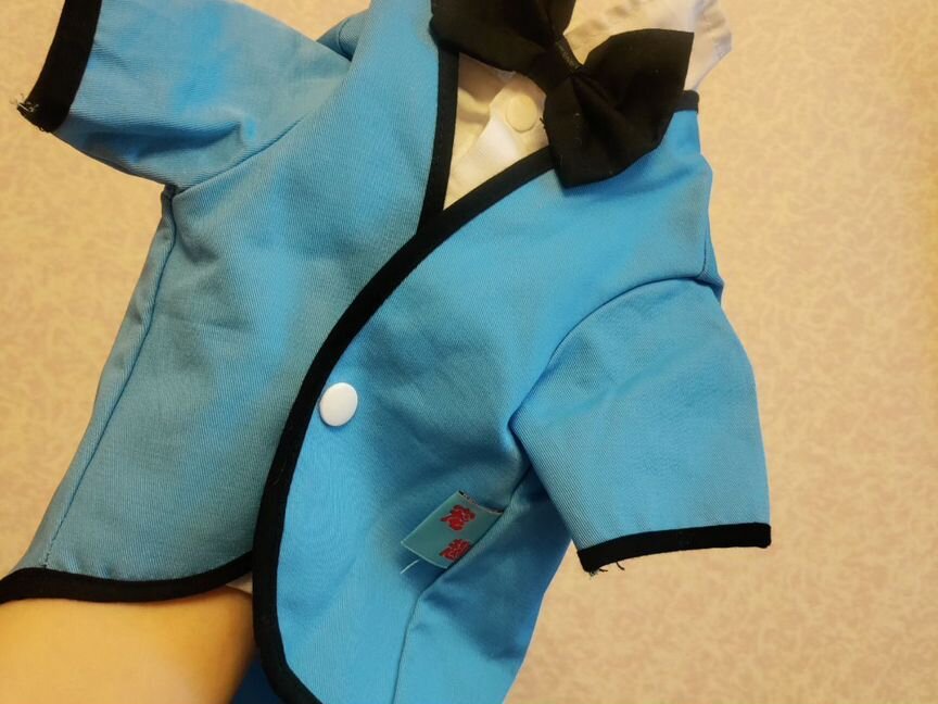 Костюм для маленьких собак