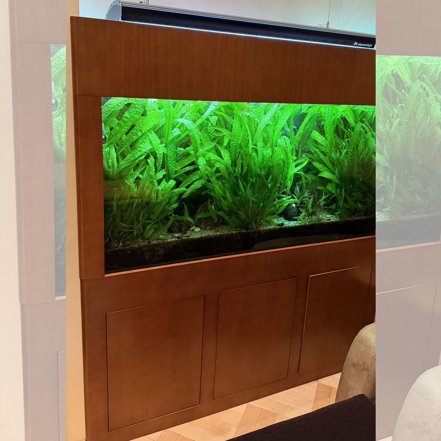 Аквариум с растениями 500л