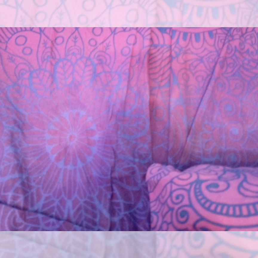 Донской сфинкс, взрослый кот