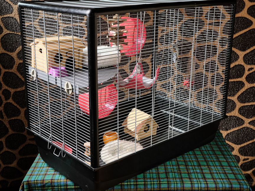 Клетка для шиншилл крыс дегу хорька грызунов