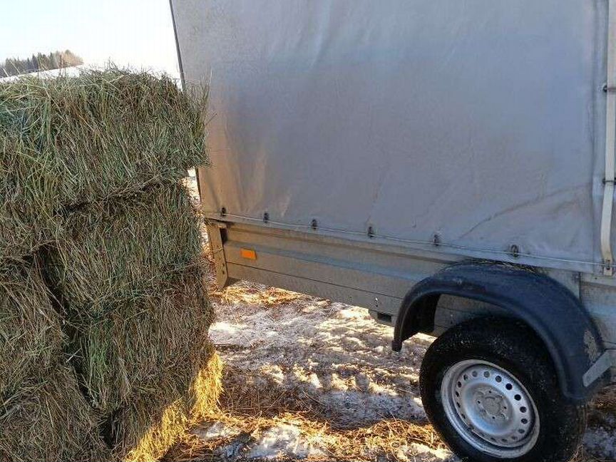 Сено для коз