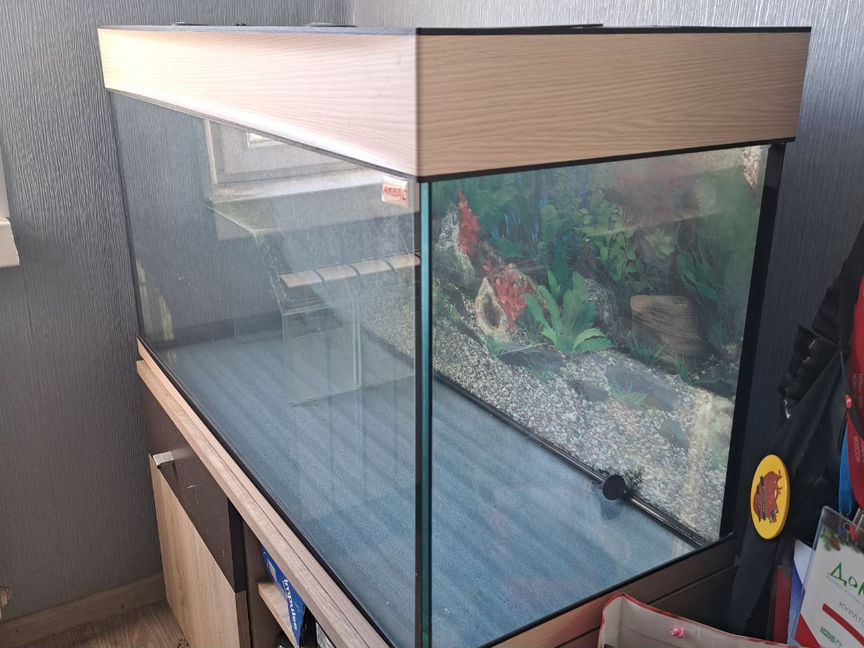 Плюдариум 200, акватеррариум, черепашатник