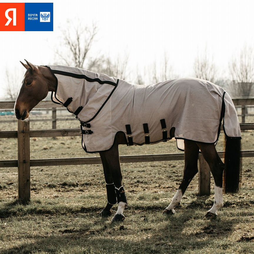 Антимоскитная попона Mesh Fly Rug от Kentucky - Бежевый