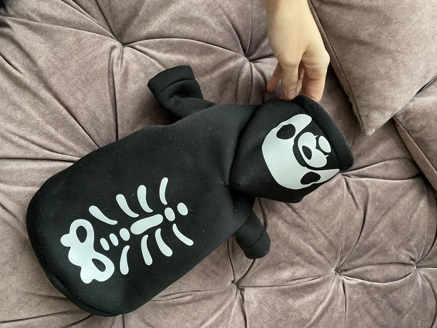 Одежда для кошек