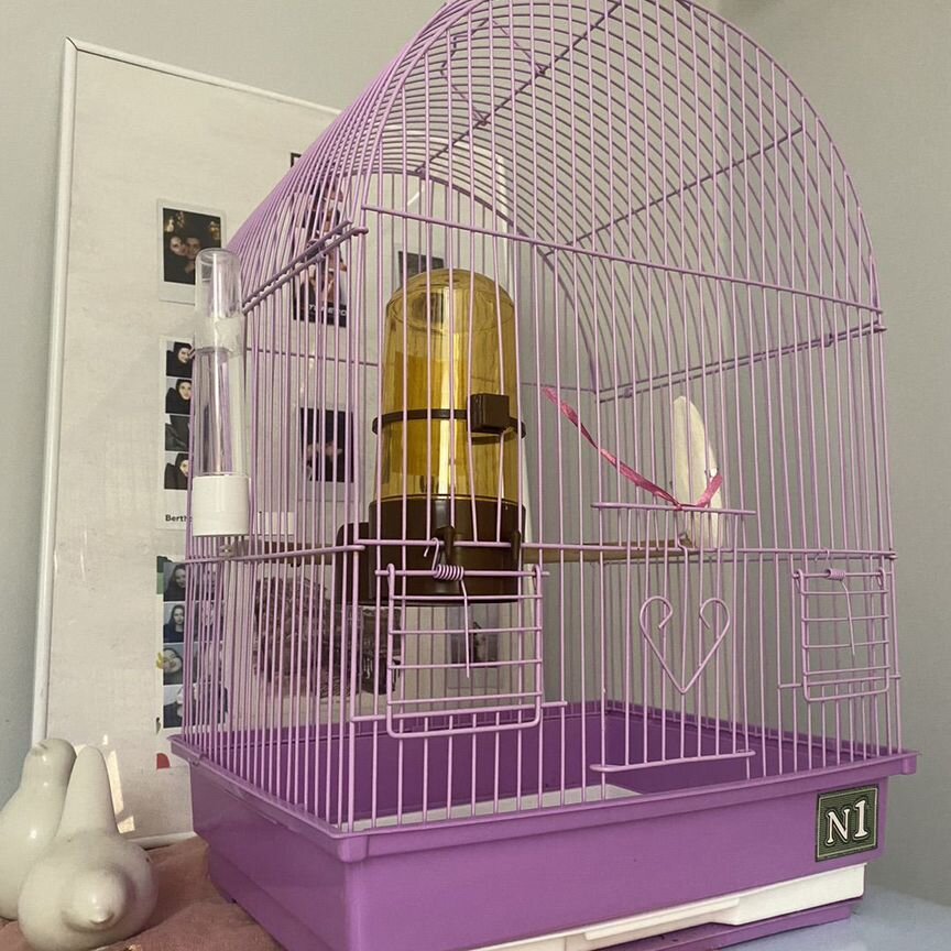 Клетка для птиц (кормушка, поилка, корм, сепия)