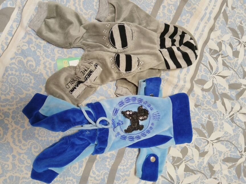 Костюмчики на кошку или собачку