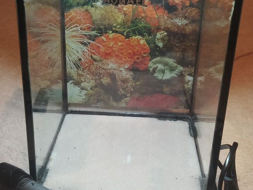 Креветочник(10л)