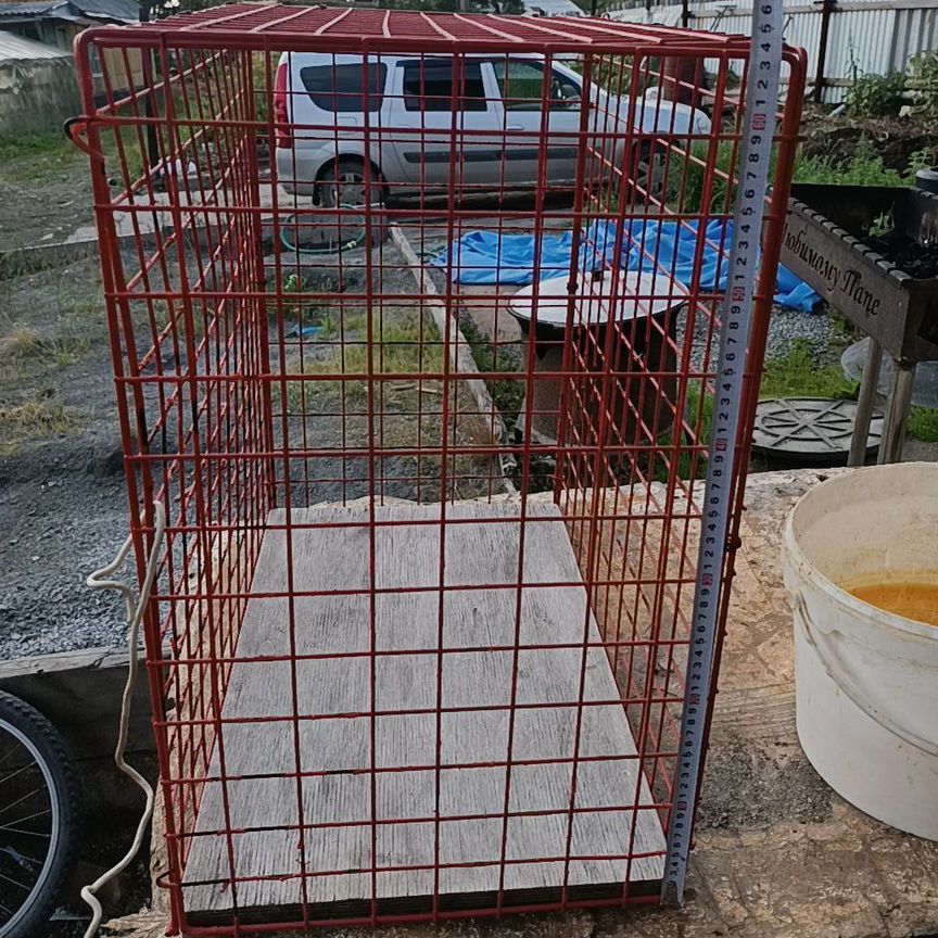 Клетка для перепелов