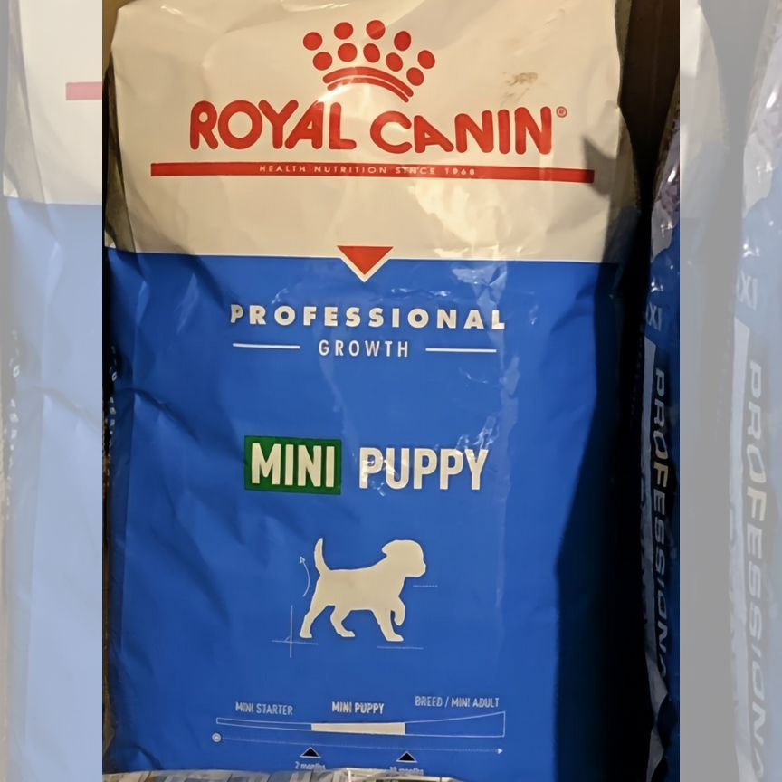 Корм для собак