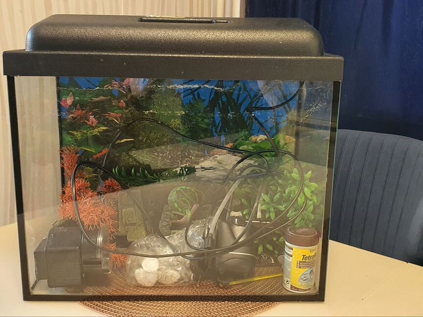 Аквариум, фильтр, камни, интерьер