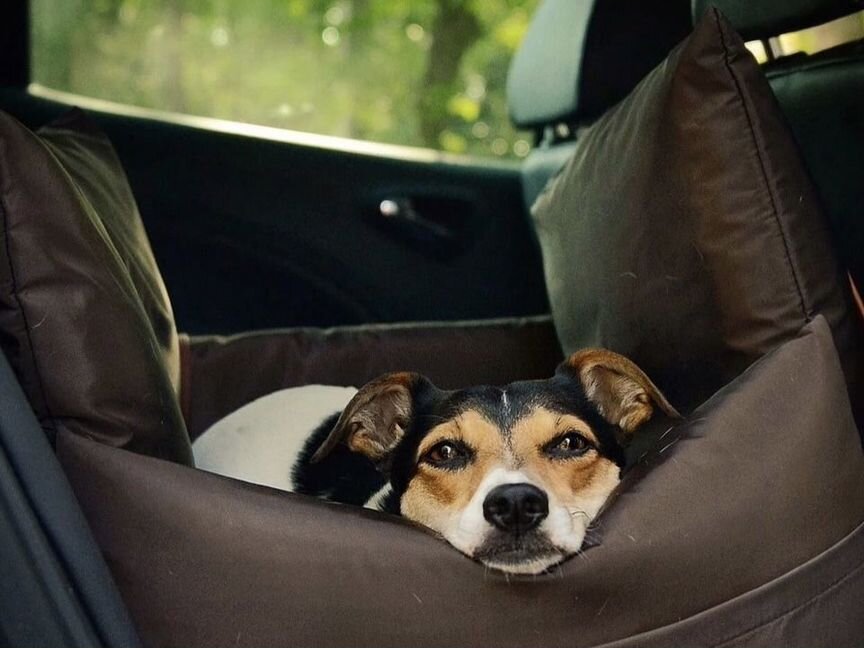 Сумка-автокресло