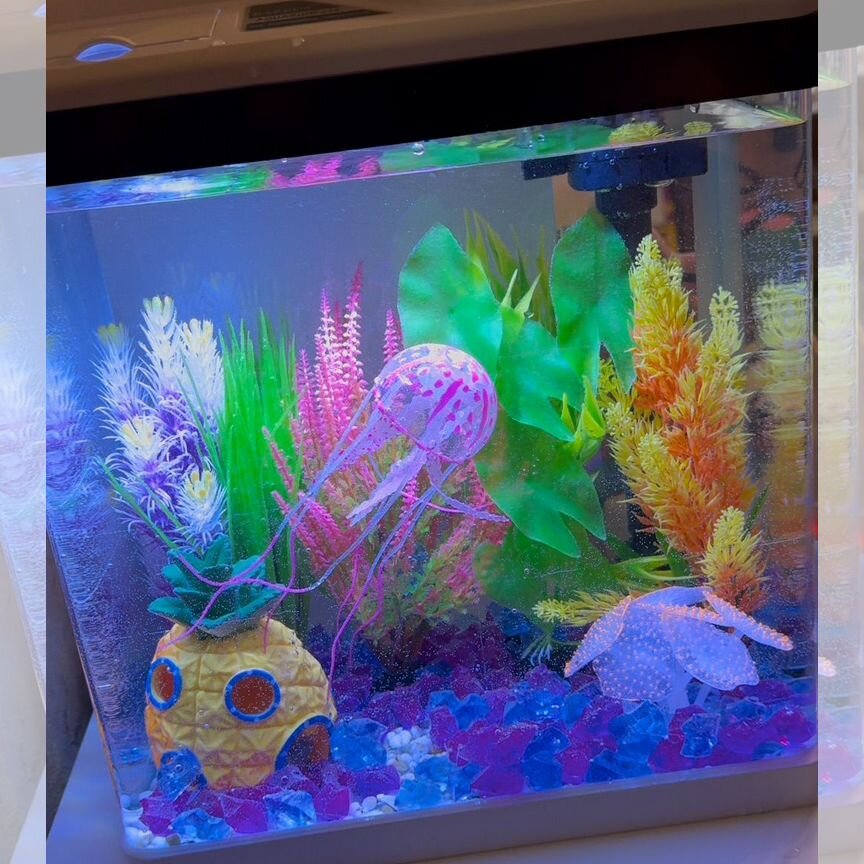 Аквариум для рыб