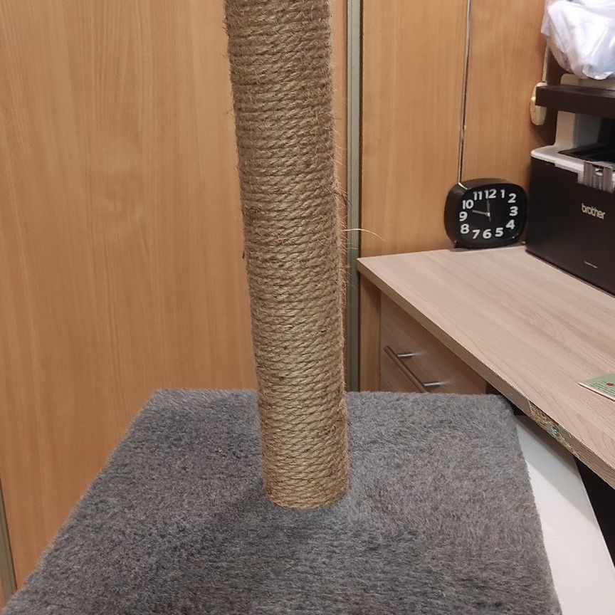 Когтеточка столбик