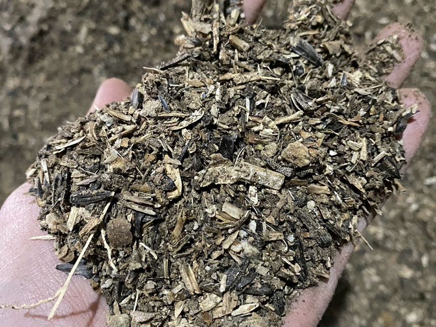 Отход семечки