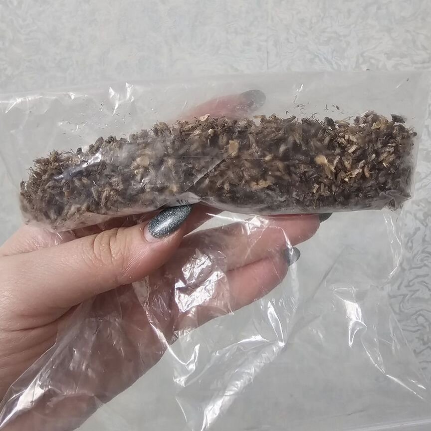 Сверчковая пыль кормовые насекомые