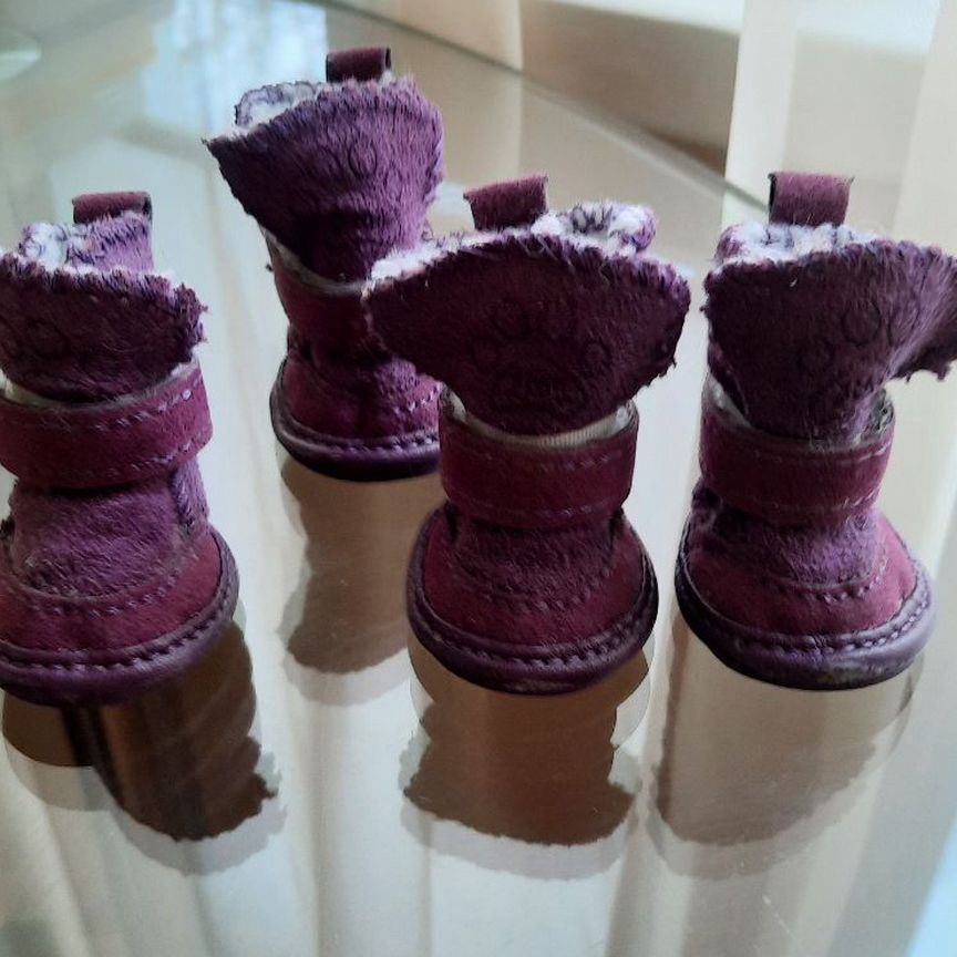 Ботиночки для собак р-р 2