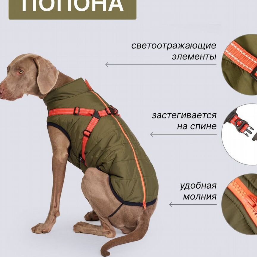 Вещи для собаки пакетом