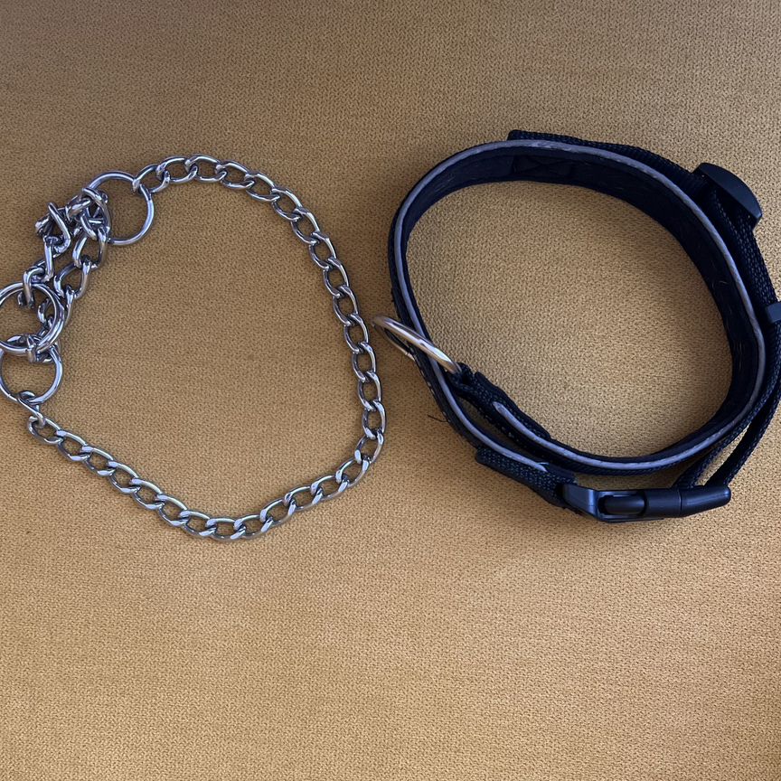 Ошейник для собак