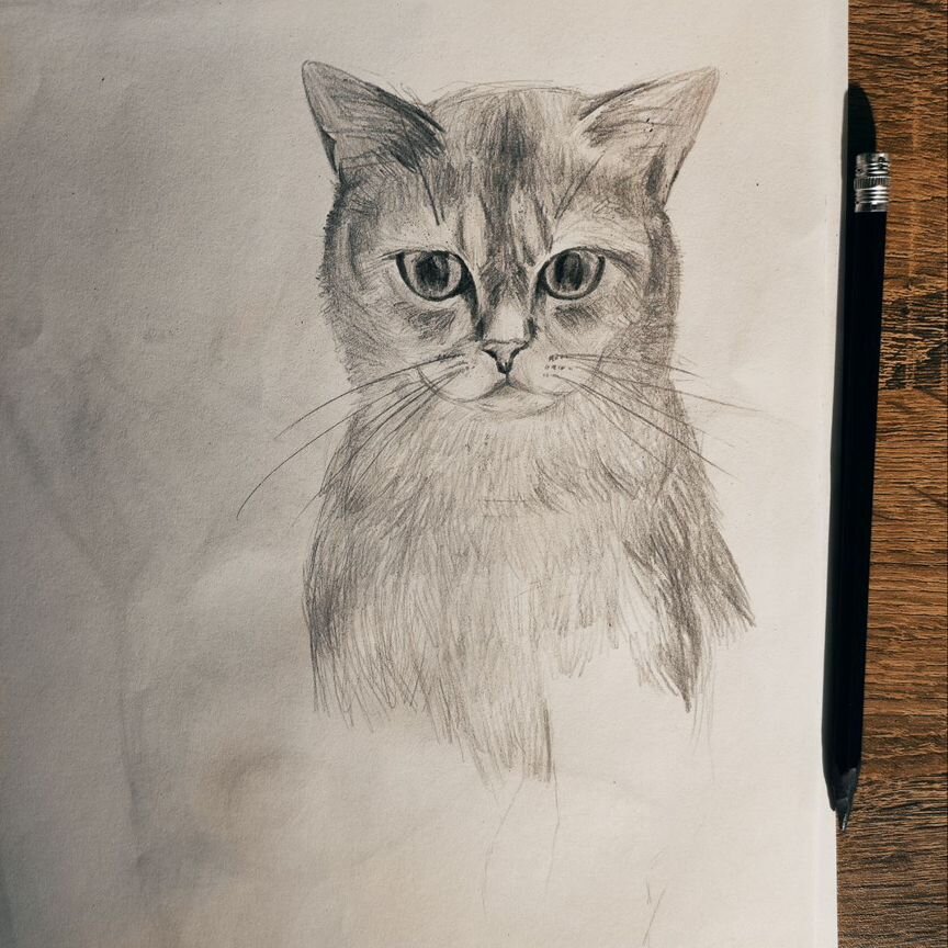 Нарисую Вашего питомца по фото