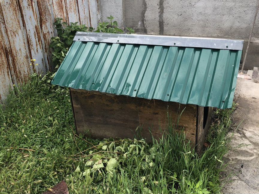 Конура для собаки будка