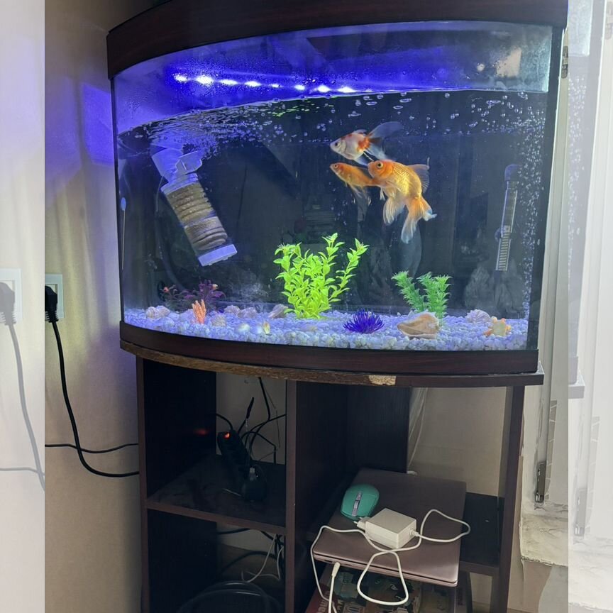 Аквариум с тумбой 130 литров