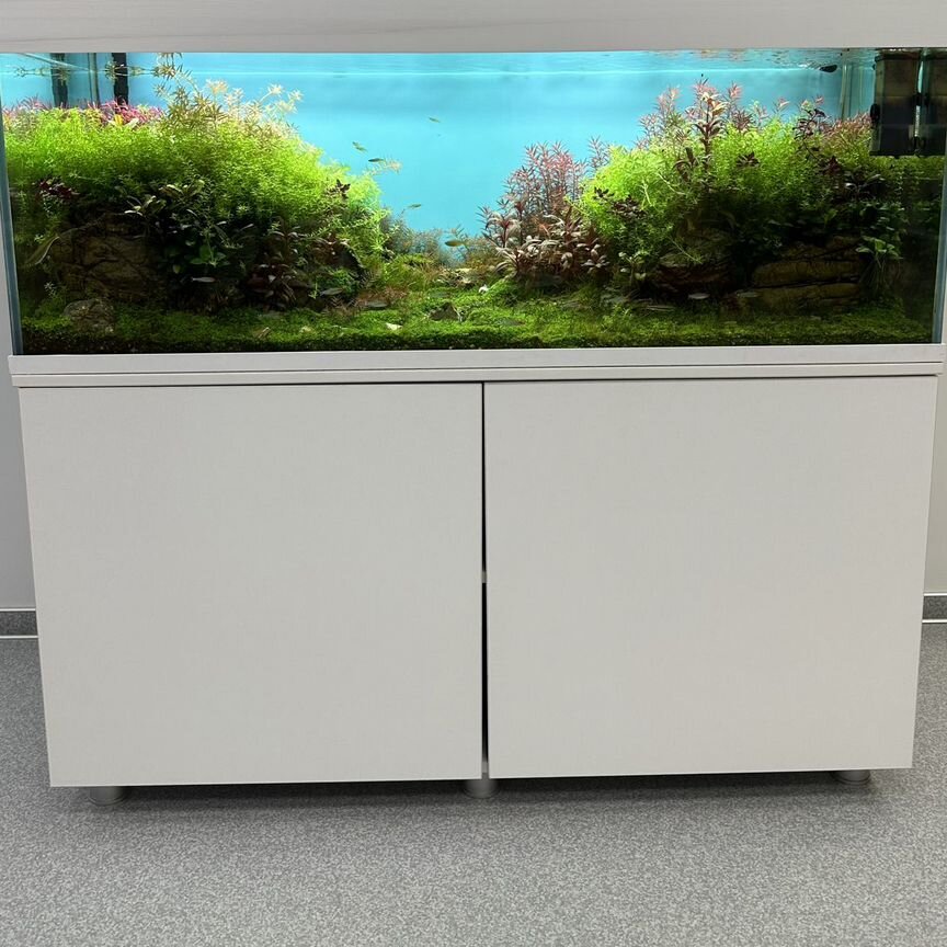 Обслуживание Пресноводных Аквариумов