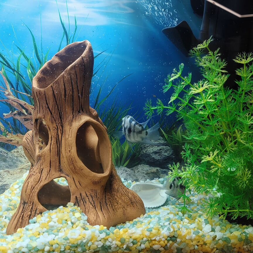 Аквариум с рыбками, полный комплект