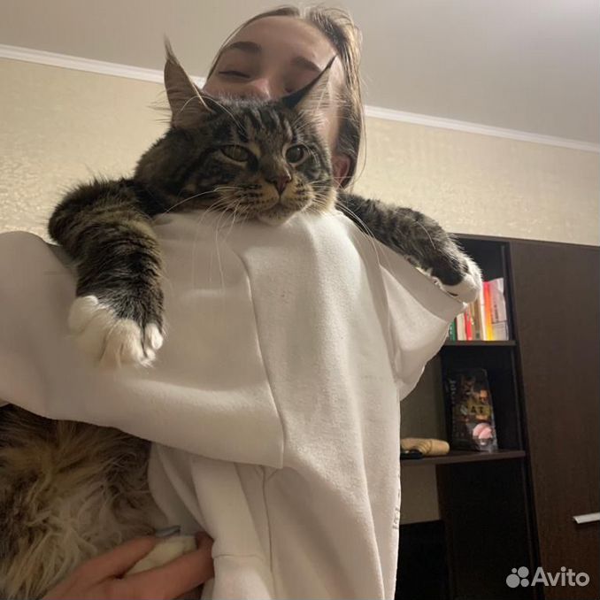 Мэйн кун вязка