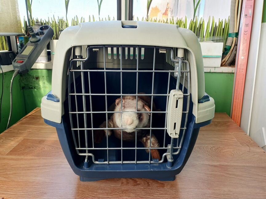 Переноска для животных Clipper 2