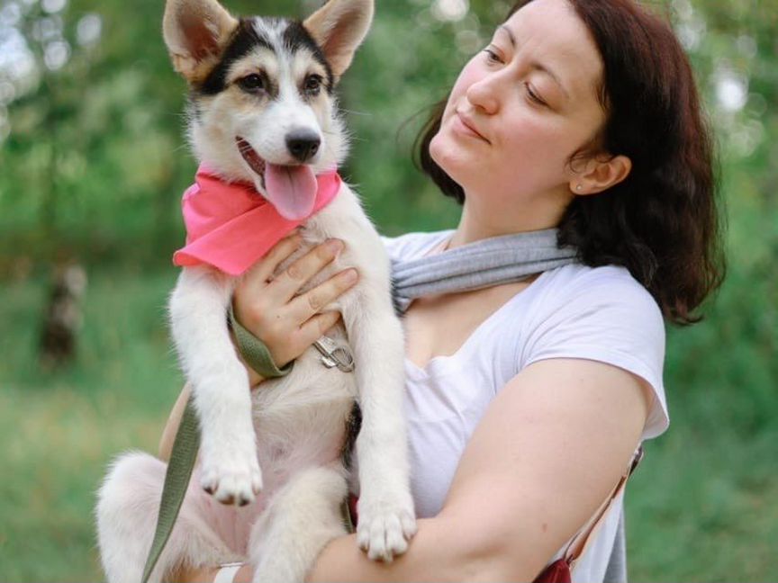Собака в добрые руки щенок из приюта
